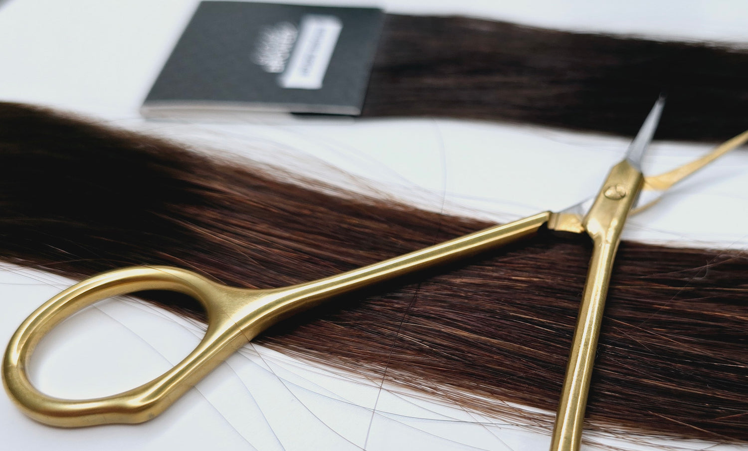 SUGAR BROWED. | Elevate Your Brow Game