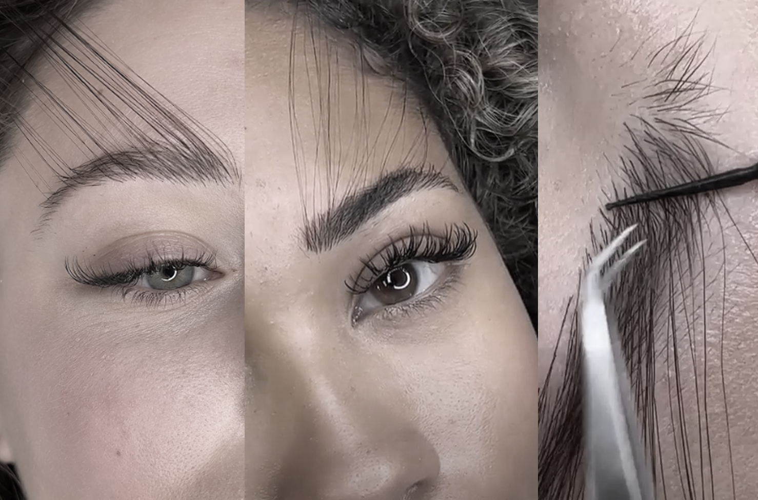 SUGAR BROWED. | Elevate Your Brow Game